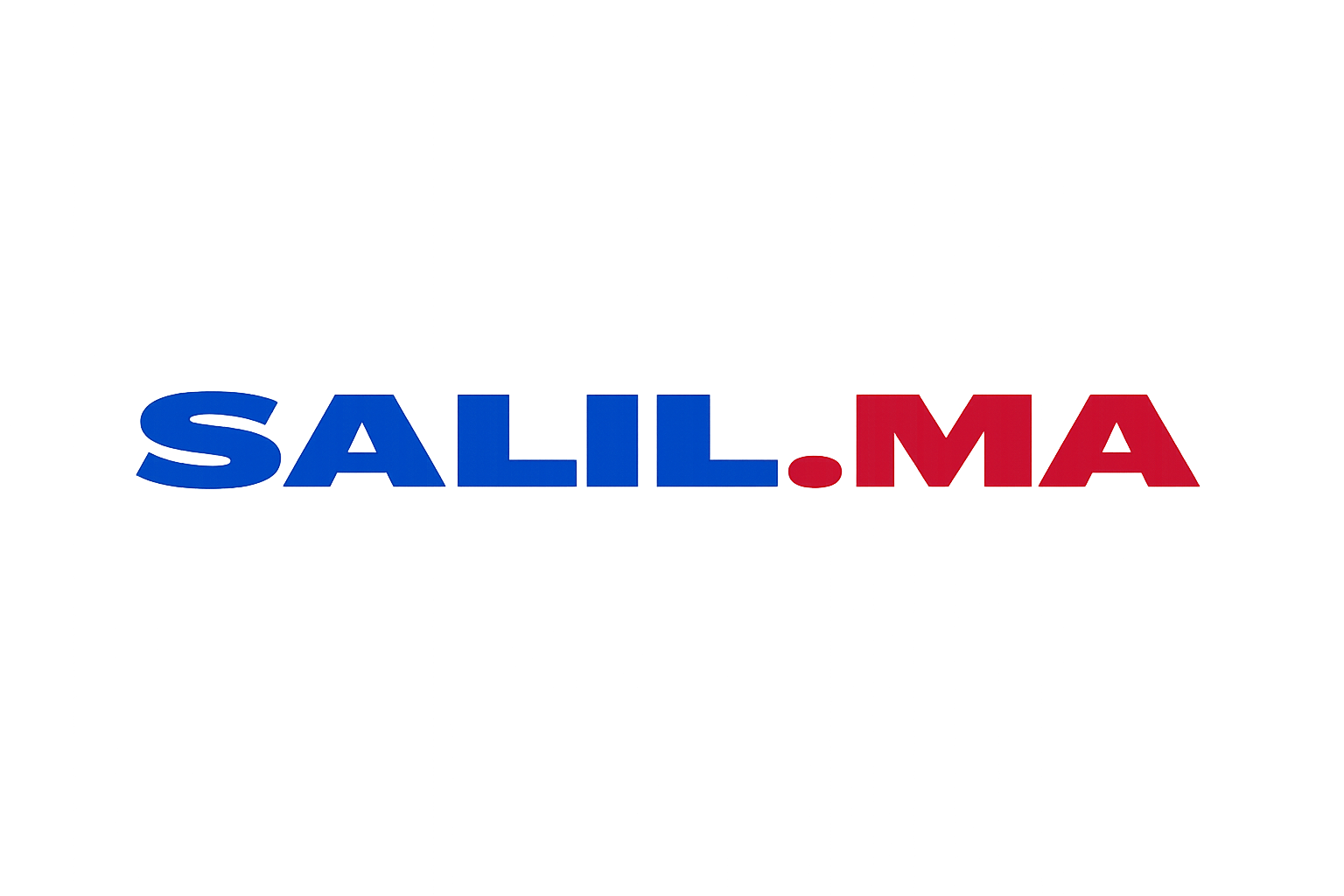 Ayoub Bouaddi: identidad, cifras y Mundial 2026 - Salil.ma – News